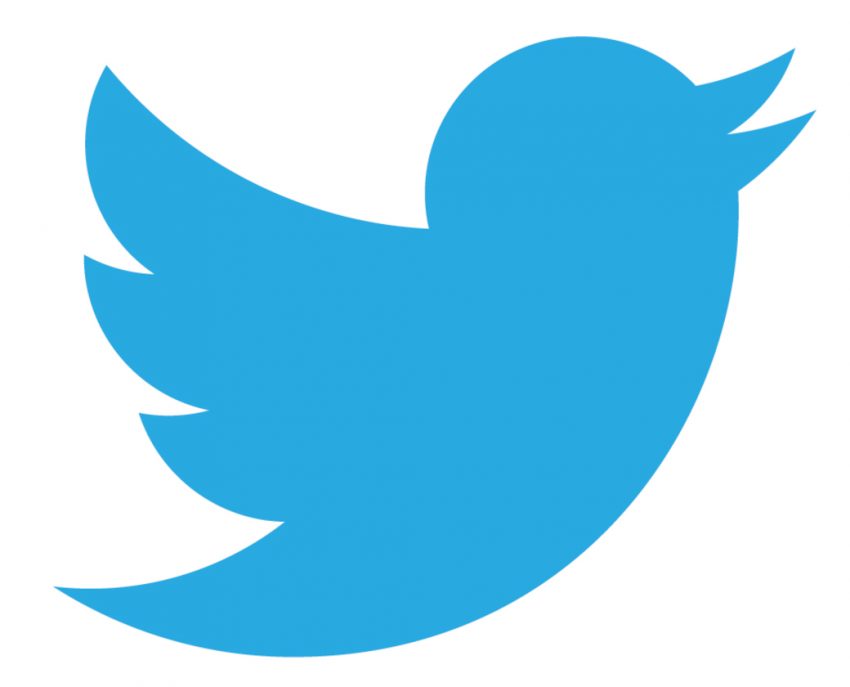 twitter-bird-icon – The Q Tree
