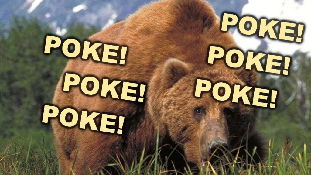 poke bear – The Q Tree